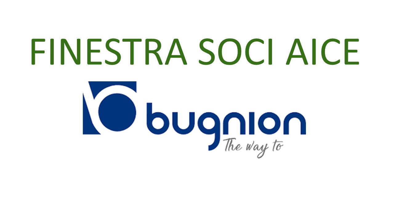 Associazione Italiana Commercio Estero